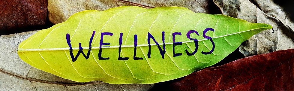 Wellness Workshops | Hygiea Health & Wellness